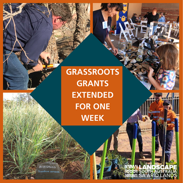 Grants | Geoff Brock MP